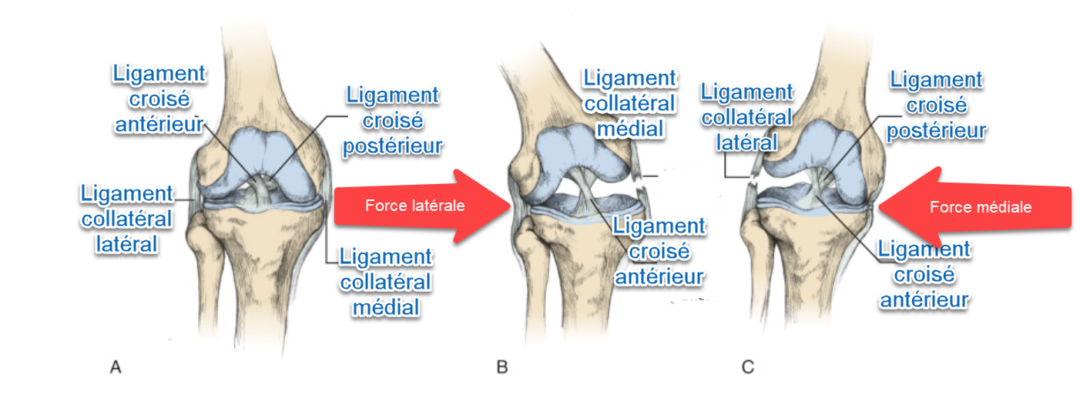 Soulager la Périostite Tibiale avec une Approche Holistique | OsteoMag