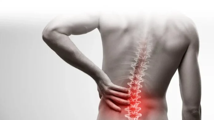 Osteopathy and Lower Back Pain: Restoring Vertebral Stability | OsteoMag