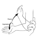 Subluxation du Coude : Symptômes et Traitements pour Enfants - OsteoMag