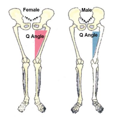 Female Body: Hypermobility & Structural Adaptations - OsteoMag