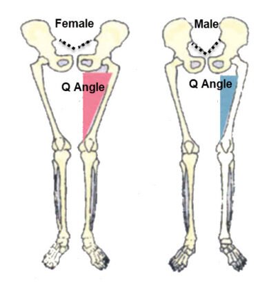 Female Body: Hypermobility & Structural Adaptations - OsteoMag